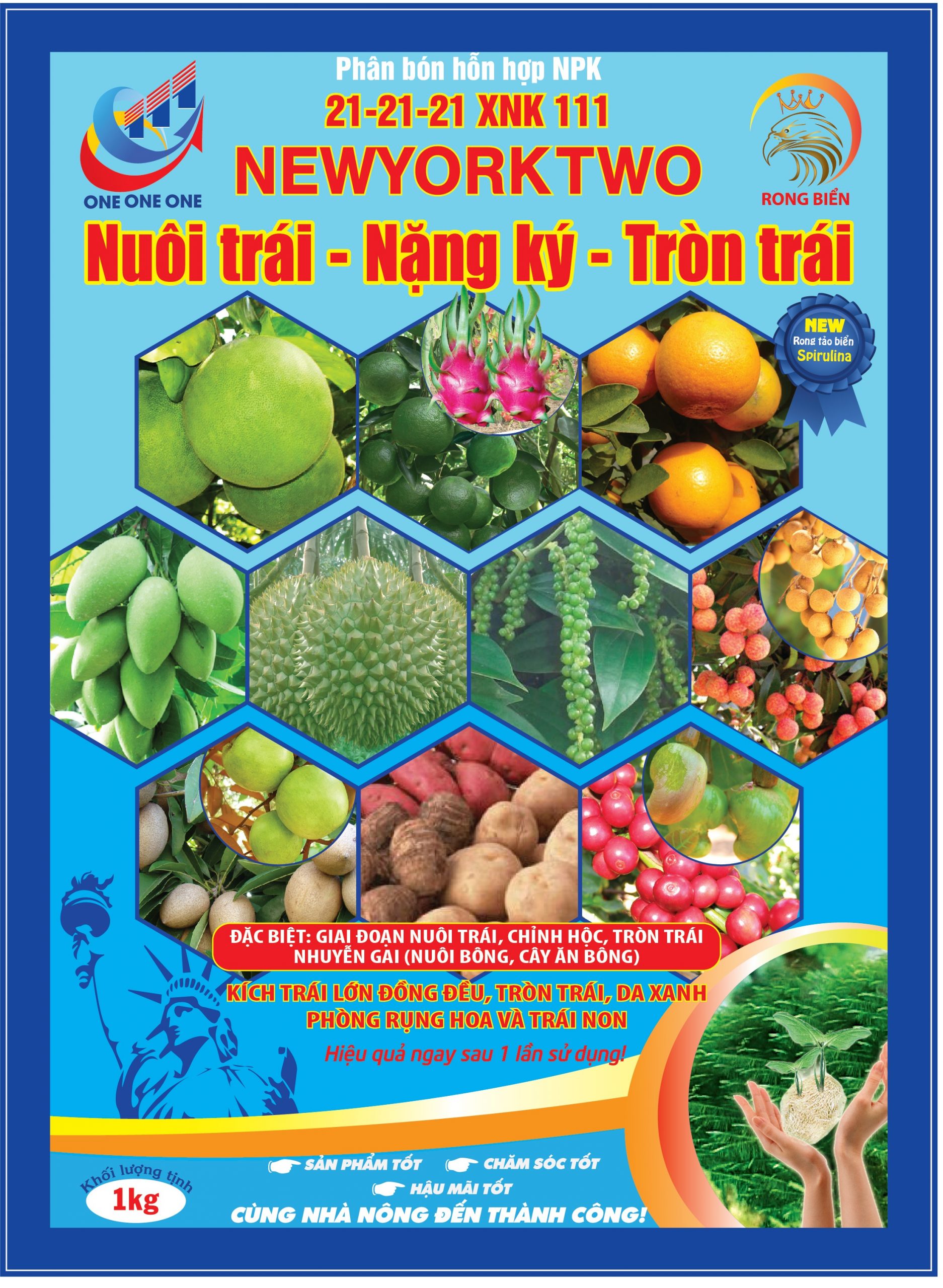 21-21-21 XNK 111 (1KG) – CÔNG TY TNHH XUẤT NHẬP KHẨU 111